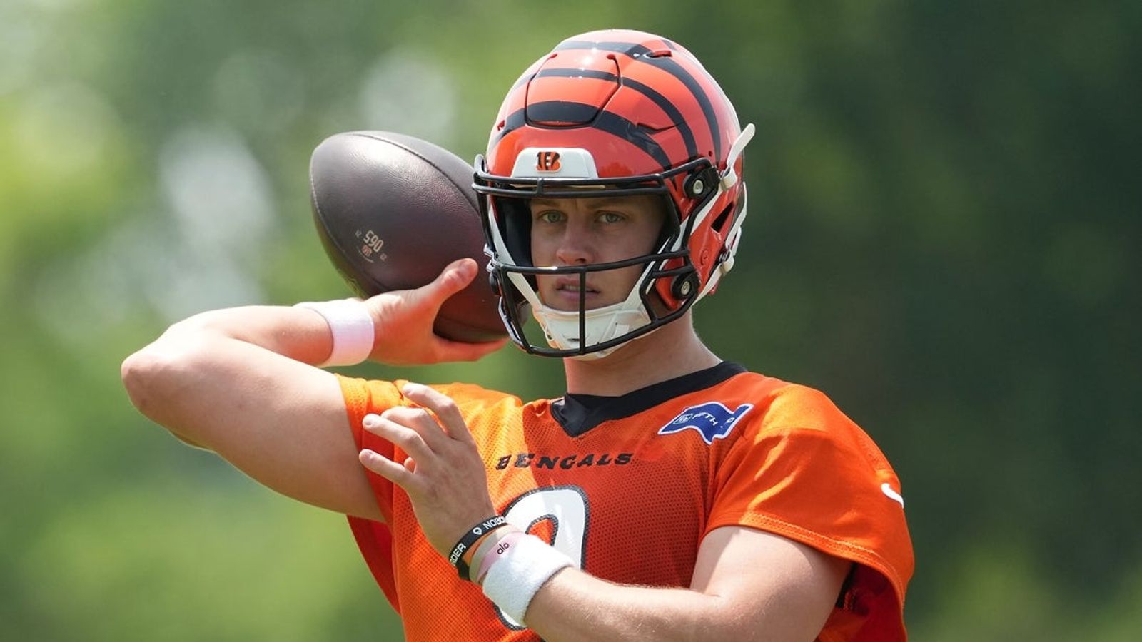 Pawn shop owner pleads guilty to fencing Joe Burrow's stolen property